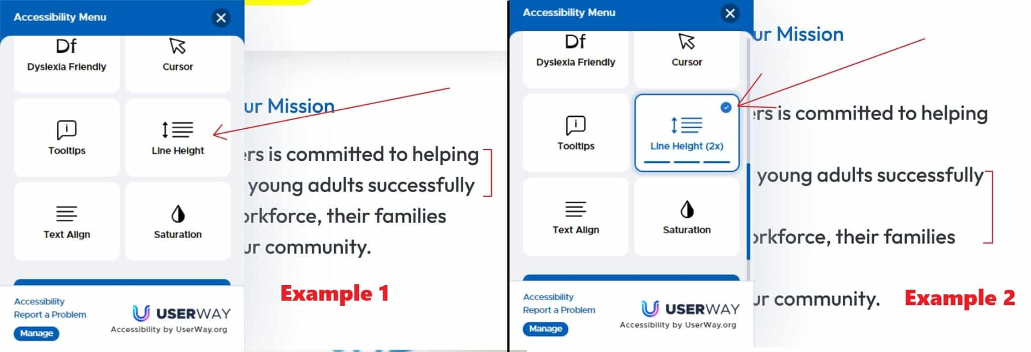 Web Accessibility Examples: 5 Areas to Focus On + 5 Websites