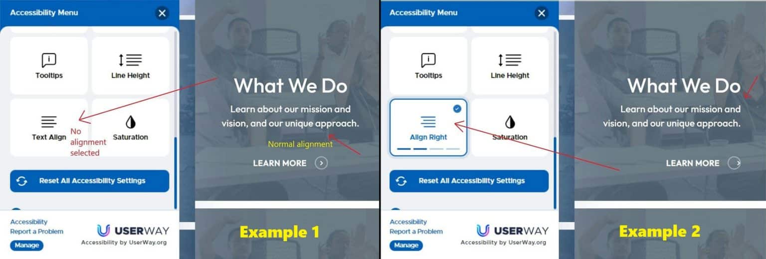 Web Accessibility Examples: 5 Areas to Focus On + 5 Websites